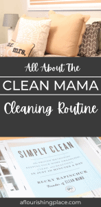 Clean Mama Review and 5 Great Home Cleaning Must-Haves - A Flourishing ...